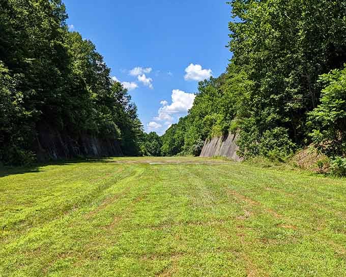 This grassy expanse is nature's way of saying "bring a frisbee and remember what fun feels like."