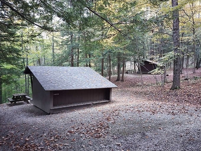 Rustic lean-to shelters nestled among fall foliage&mdash;camping with just enough civilization to keep the bears guessing.