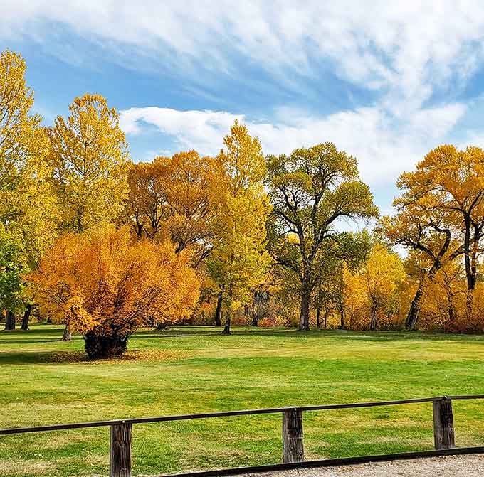 City Park's autumn colors put on a show that makes New England jealous every single year.