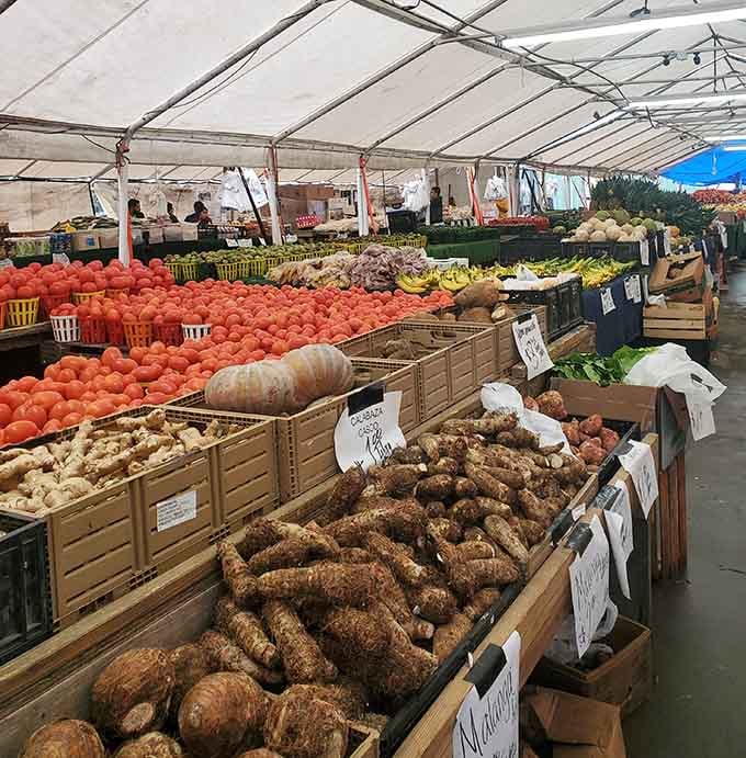 Fresh produce piled high like nature's candy store, where your grocery budget suddenly makes sense again.