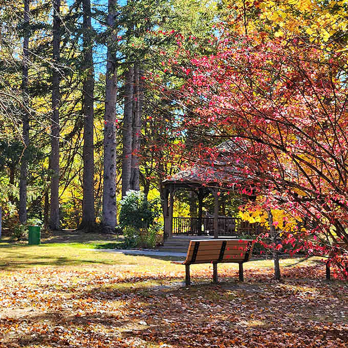 Coburn Park's gazebo peeks through autumn's fiery display, offering a peaceful retreat where falling leaves create nature's confetti for contemplative afternoon sits.