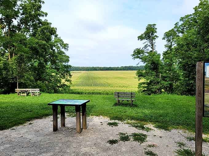 Sometimes the best view requires nothing more than a bench, some open space, and the willingness to just sit still.