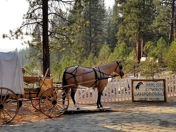 At Idaho City's Cowboy Campground, even the horses seem to appreciate the authentic Western experience. Giddyup and time travel in one stop!