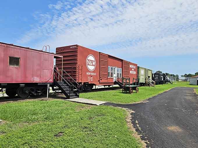 A colorful lineup of vintage rail cars resting on green grass, each one telling its own American story.