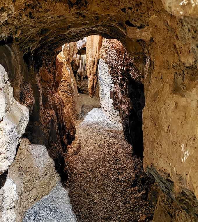 Walking through these passages feels like exploring an alien planet, minus the need for a spacesuit or oxygen tank.