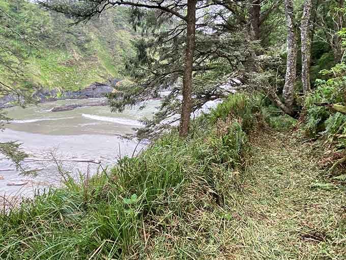 The trail down might test your knees, but that first glimpse of the cove makes every careful step absolutely worthwhile.