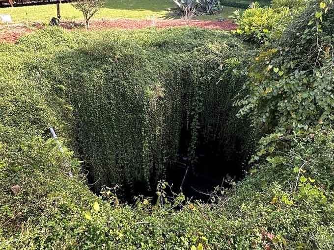 From above, it's just a mysterious hole in the ground, but down there lies 33 million years of geological wonder.
