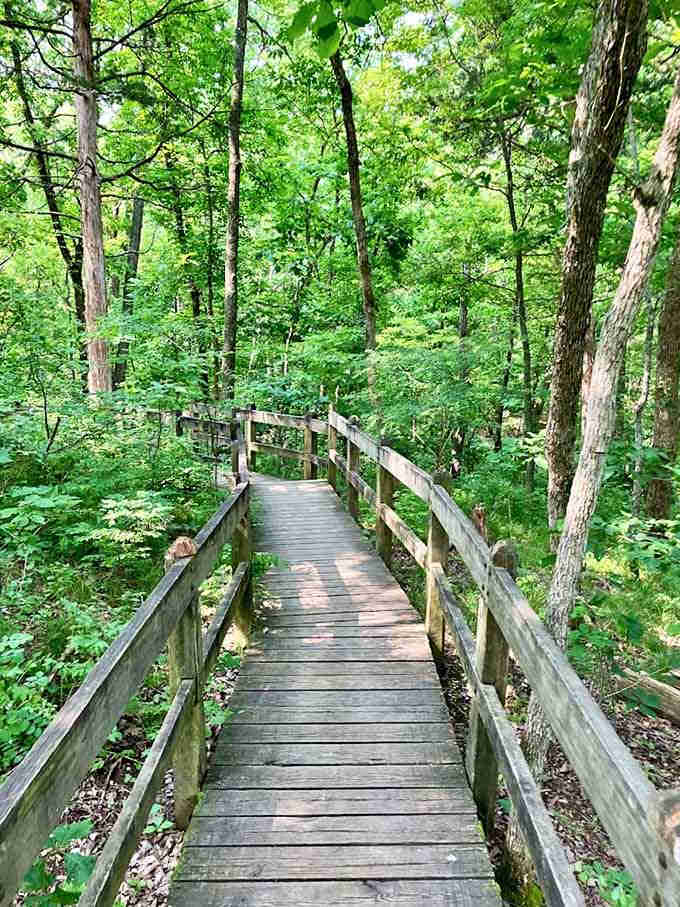 This boardwalk through the woods makes you feel like you're walking into a storybook adventure.