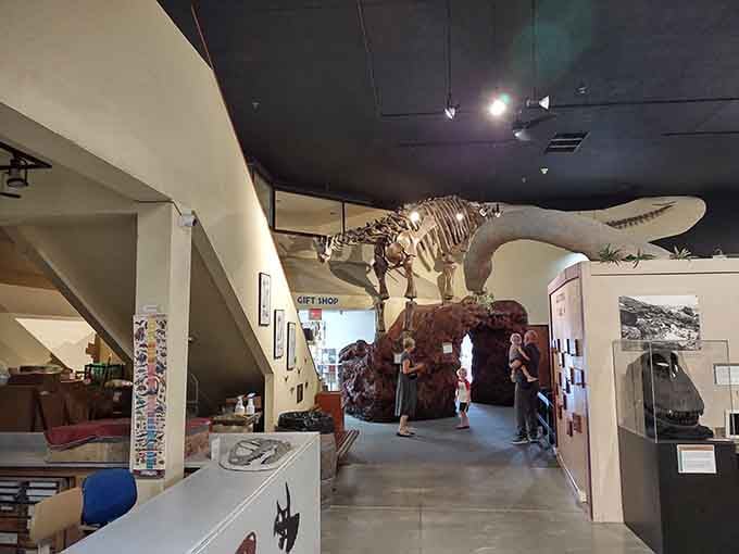 Walking into this museum feels like stepping onto a movie set, except everything here actually existed millions of years ago.