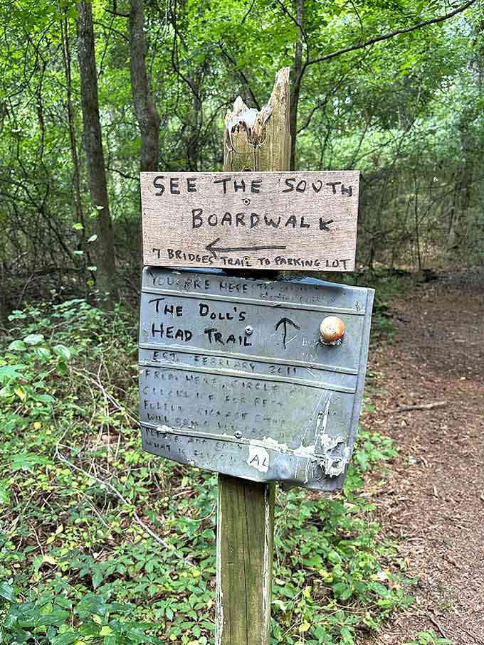 Follow the arrow if you dare, because normal hiking trails are overrated and predictable anyway.