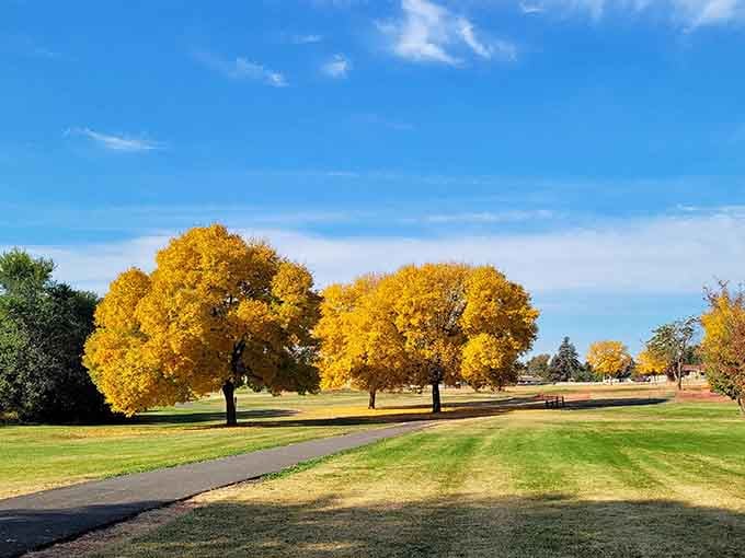 Autumn in Grandview turns ordinary trees into golden masterpieces that would make Bob Ross weep with joy.