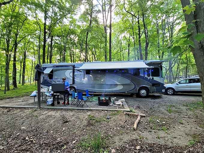 Modern camping comfort meets woodland serenity, proving you can have your s'mores and eat them too.