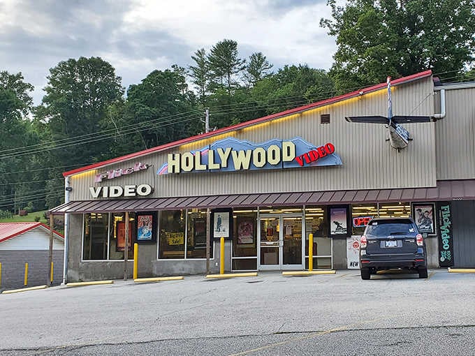 Hollywood Video stands as a delightful time capsule in the streaming age, where browsing physical media feels like a rebellious act of nostalgia.