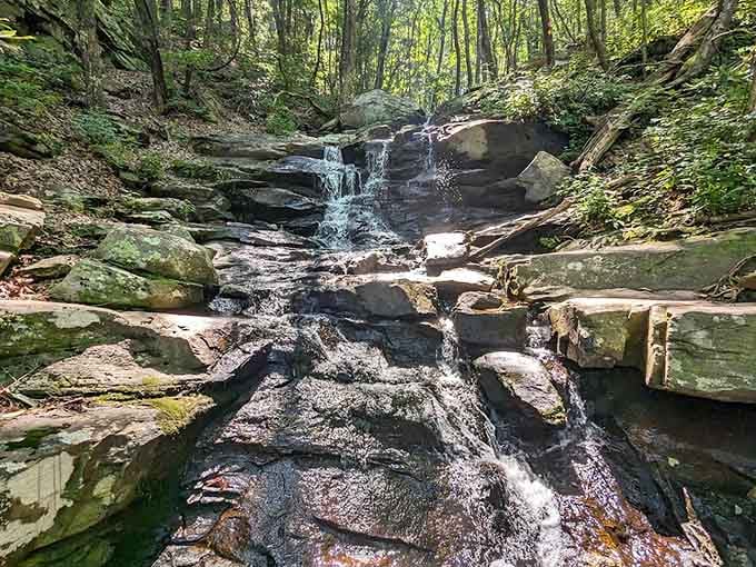 This cascading waterfall tucked into the forest proves that Georgia's got more secrets than your grandmother's recipe box.