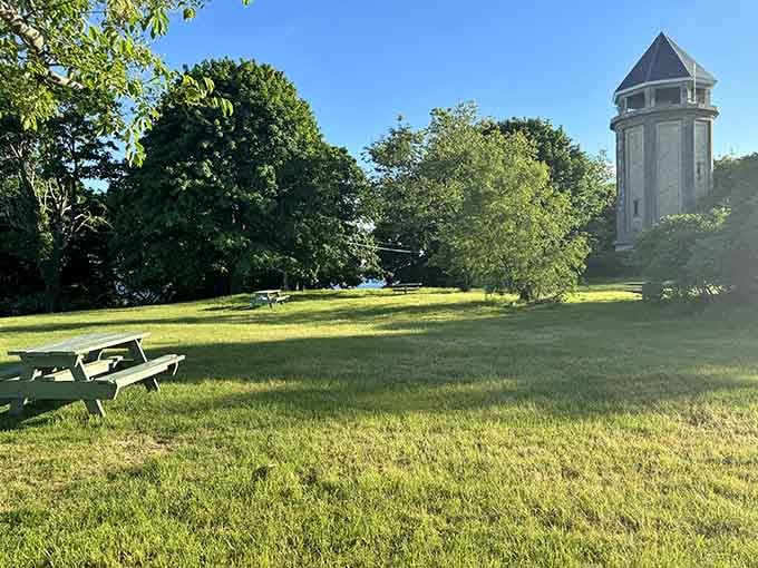That distinctive water tower stands like a lighthouse on land, guiding visitors to one of Hull's most spectacular hidden treasures.