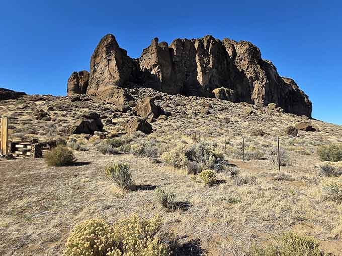 Standing before Fort Rock feels like discovering nature's own ancient amphitheater, carved by fire and water.