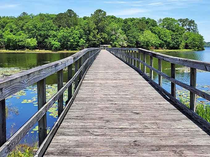 This boardwalk stretches toward serenity like a wooden invitation to leave your worries at the shore behind you.