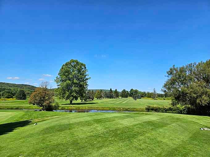 Where the greens are actually green and the only hazard is forgetting you're supposed to be keeping score.