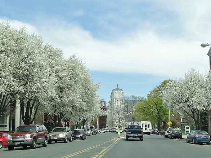 Tree-lined streets framing church steeples: this is New England showing off without even trying to impress anyone.