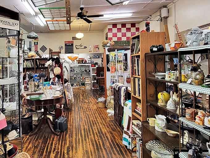 Treasure hunters, prepare to lose track of time! This antique market's wooden floors have supported countless seekers of vintage gems and nostalgic treasures.