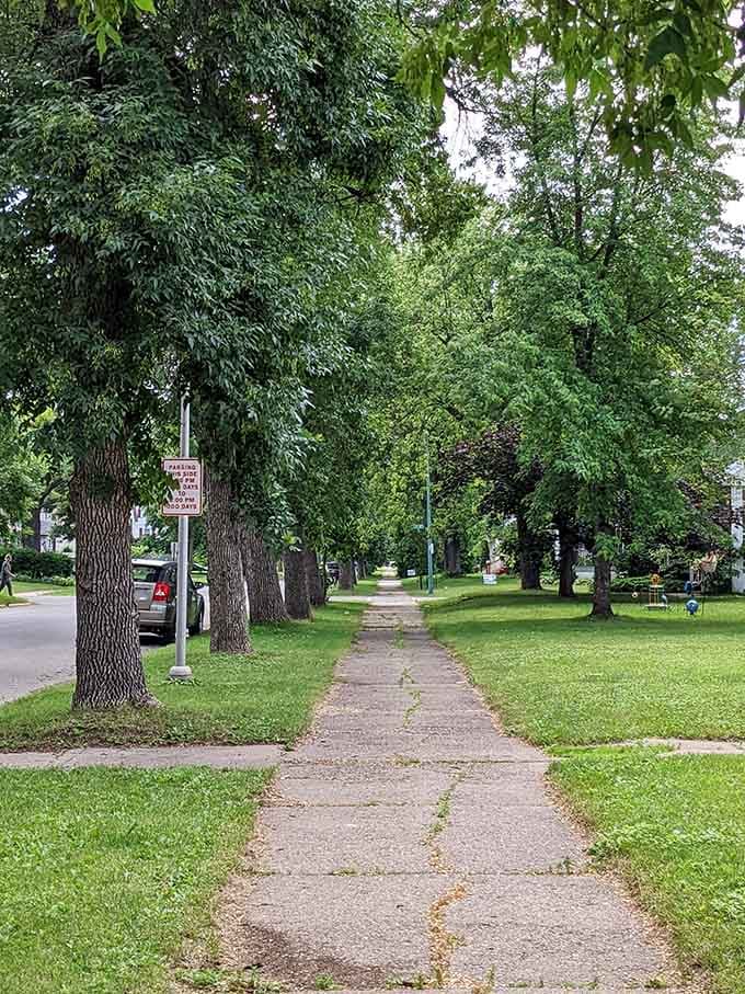 Tree-lined sidewalks stretch peacefully ahead, inviting leisurely strolls where nobody's rushing to their next overpriced appointment.