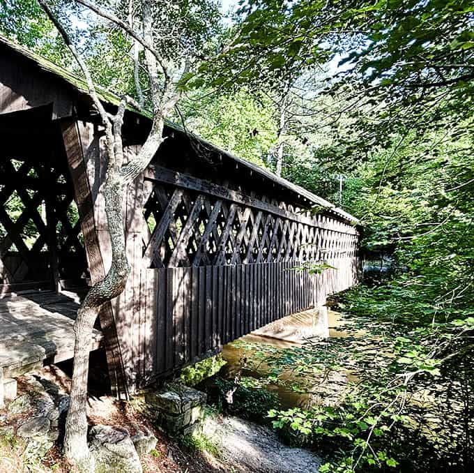 The bridge nestles into the forest like it grew there naturally, proving architecture and nature can be best friends.