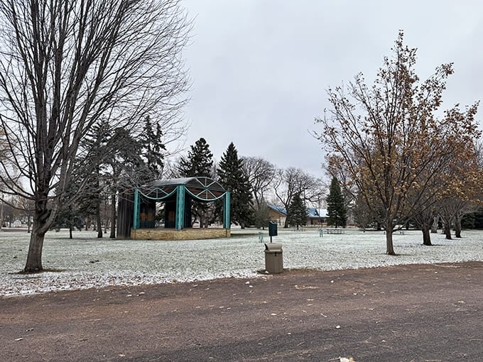Hitchcock Park offers a serene winter wonderland where footprints in fresh snow tell stories of morning walkers seeking peace.