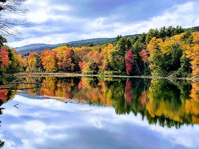 Fall foliage reflected in still water creates nature's most perfect mirror at Mount Tom.