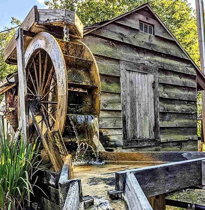 This charming water wheel adds rustic character to the grounds, proving the surface attractions rival the depths.