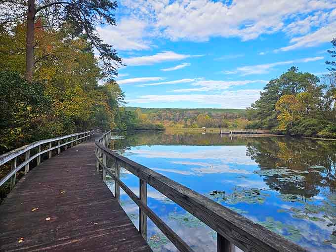 This boardwalk leads somewhere worth going, which is more than most paths can promise these days.