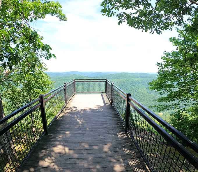 The observation deck stretches out like a diving board into endless mountain views that'll make your Instagram jealous.