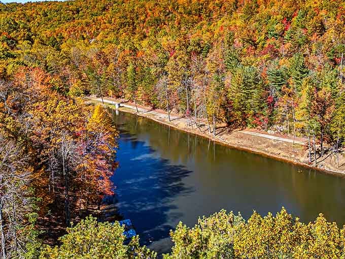The lake mirrors the autumn explosion above like nature's own Instagram filter, except this one required zero editing or Valencia.