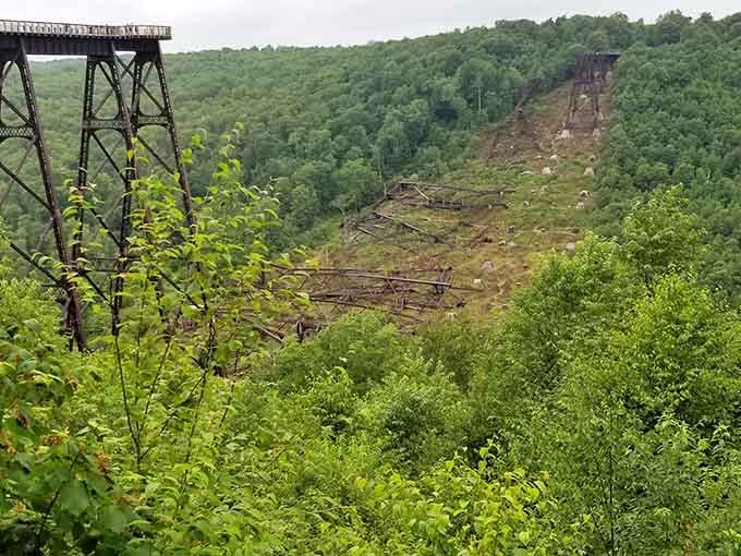 Nature reclaimed what the tornado took, creating a hauntingly beautiful reminder of power meeting perseverance.