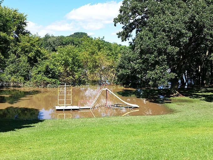 Nature reclaims a playground after spring rains in Krouskop Park. Even the slides and swings seem to be taking a refreshing bath in Wisconsin's seasonal rhythms.