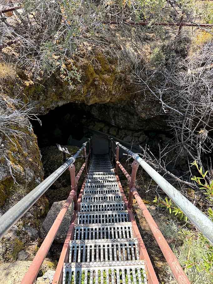 Looking down into the earth through metal stairs, wondering what adventures await in the darkness below.