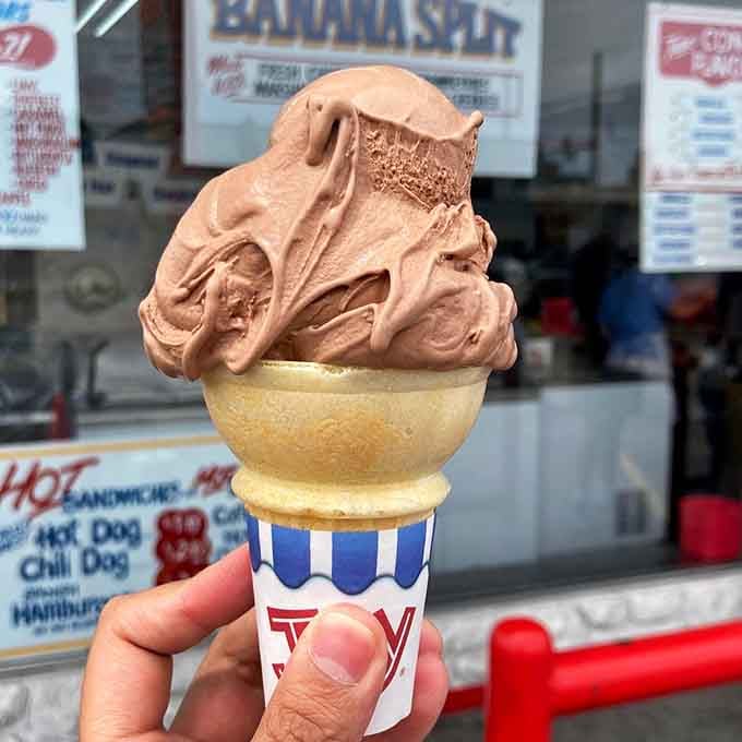 Look at that chocolate custard swirl towering over its cone like a delicious architectural marvel defying gravity and good sense.