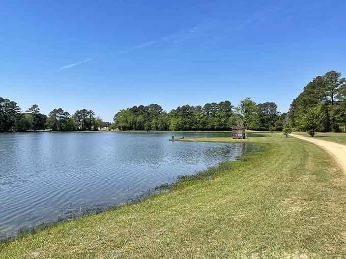 Luther Britt Park's serene lake offers the kind of peaceful escape that makes you forget your phone exists.