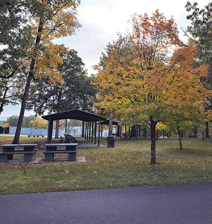 Fall transforms City Park into nature's screensaver&mdash;complete with picnic pavilions where family gatherings don't require a second mortgage.