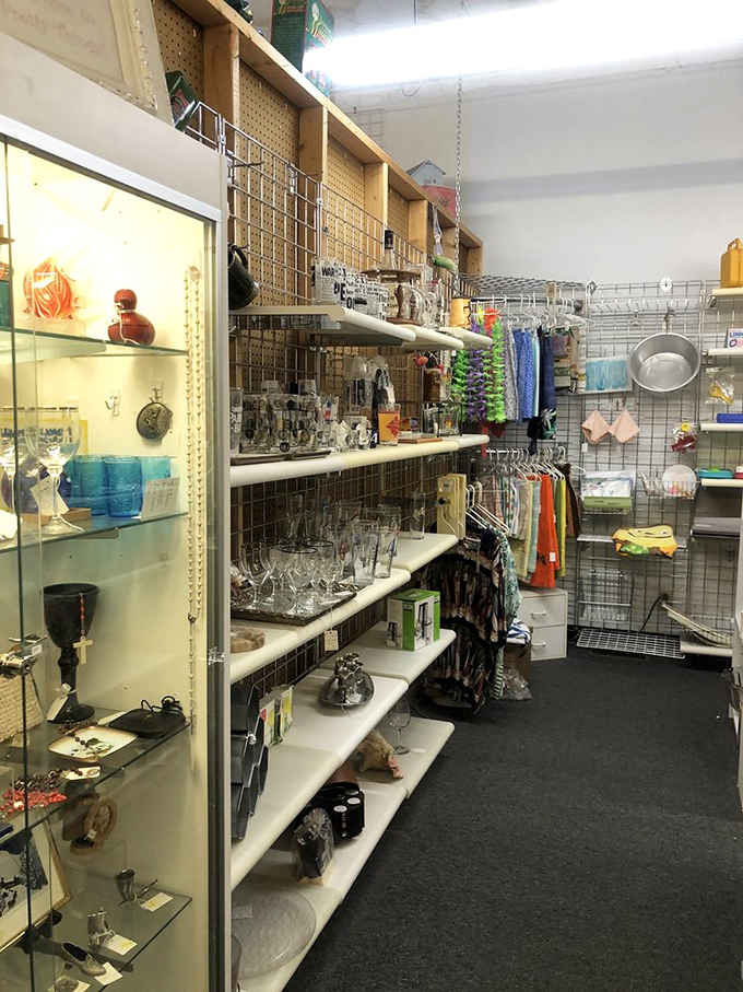 Shelves packed floor to ceiling with glassware and curiosities, like someone organized your grandmother's attic with actual thought and care.