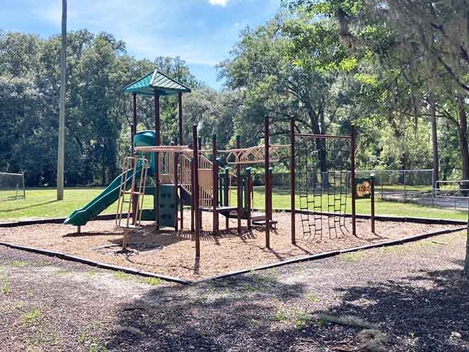 Even the playground equipment looks charming here, proving Micanopy makes everything better just by association.