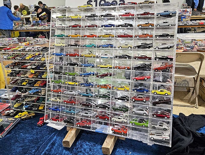 This miniature car display is a grown-up version of childhood dreams, meticulously organized with the precision usually reserved for museum artifacts or grandma's china cabinet.