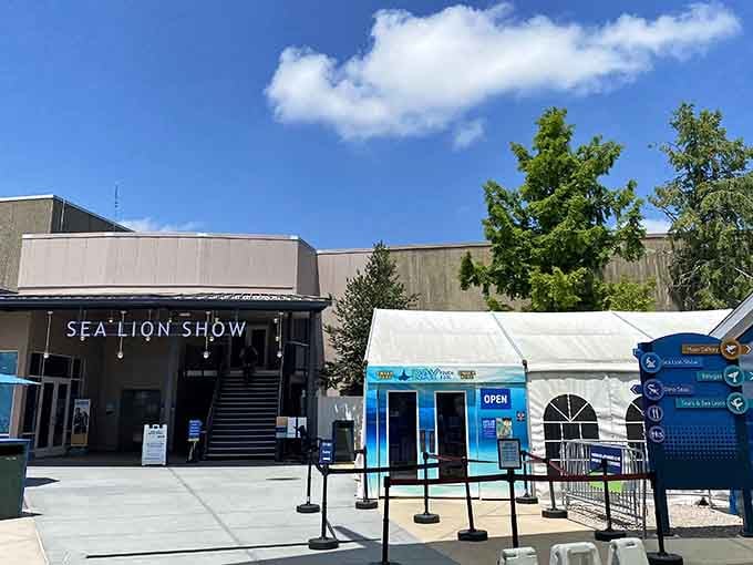 The Sea Lion Show promises aquatic entertainment that'll make you smile wider than the performers.