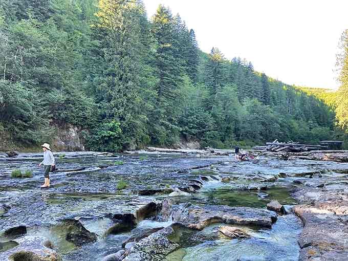 Shallow pebbled shores offer the perfect wading spot for cautious swimmers who prefer easing into arctic-temperature mountain water gradually.