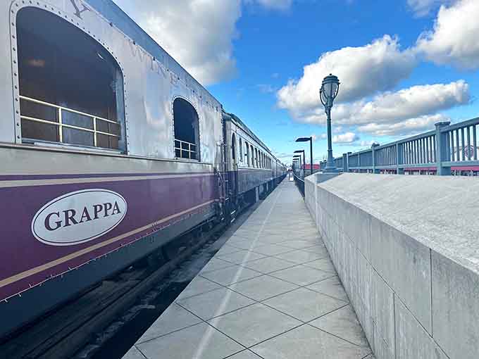 The platform awaits, where your journey from ordinary Tuesday to extraordinary adventure officially begins.