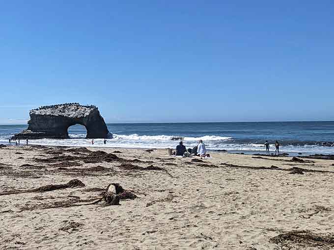 The bridge stands there like a patient giant, covered in seabirds who clearly know prime real estate.