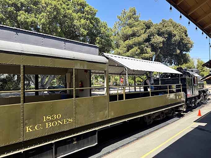 The open-air observation car lets you feel the breeze and soak up every inch of canyon scenery without obstruction.