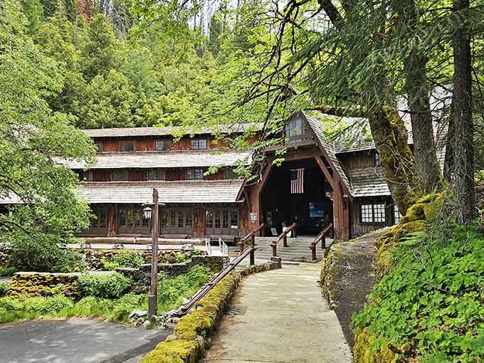 The Chateau at Oregon Caves looks like it sprouted from the forest floor, perfectly at home among the towering trees.