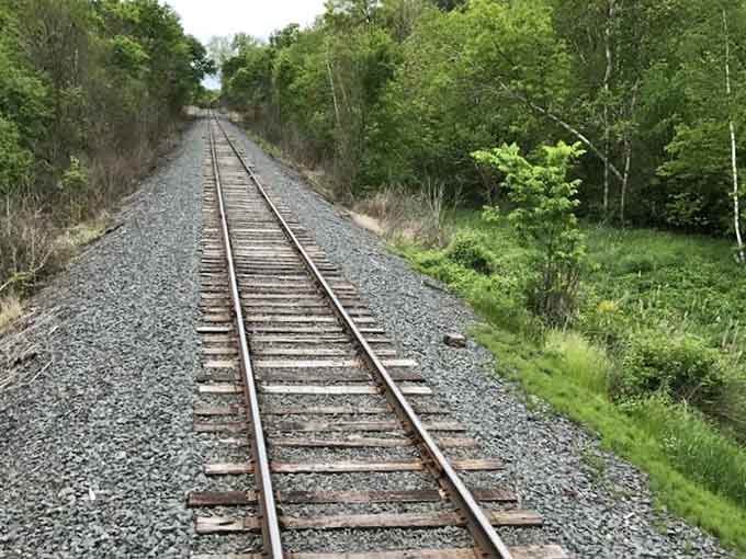 These tracks stretch into the St. Croix Valley wilderness, promising adventures that feel worlds away from your daily commute.