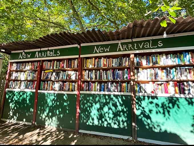 New arrivals under the trees, because apparently books grow better with a little fresh air and sunshine.