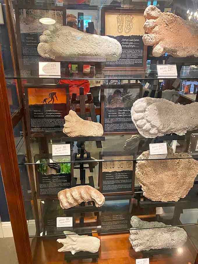 These plaster casts aren't from your kid's art class; they're evidence that something big is walking among us.
